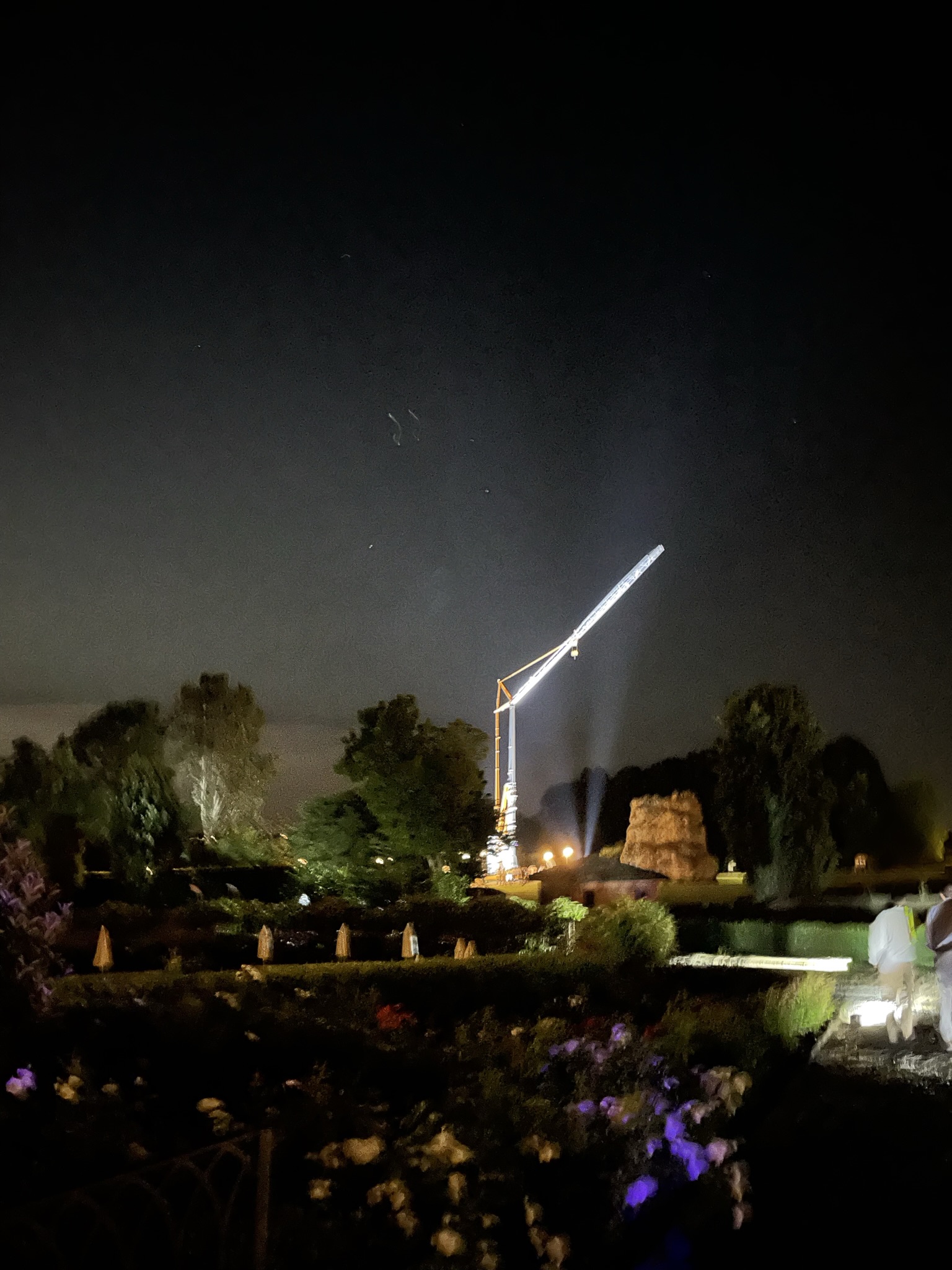 Grue à montage automatisé EVY 30-23 4T - Tonymat